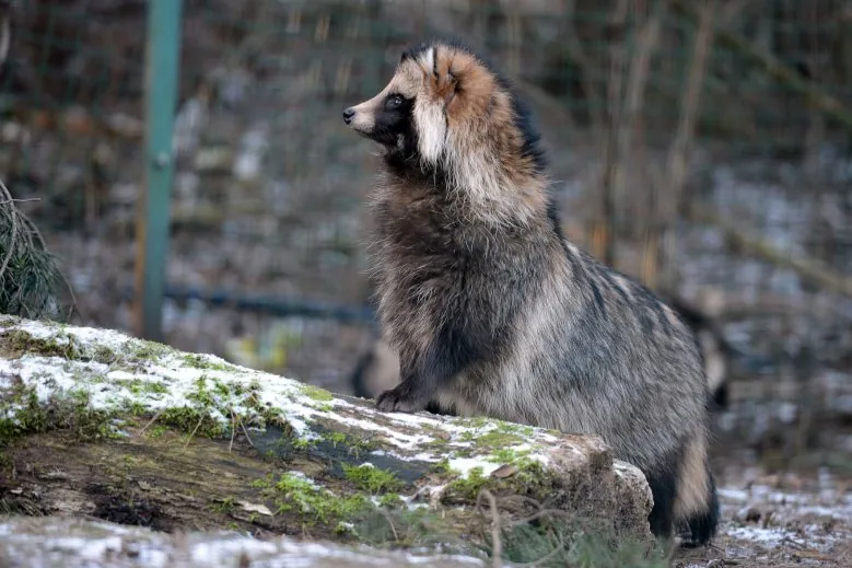 Parks and Gardens | LiveRiga